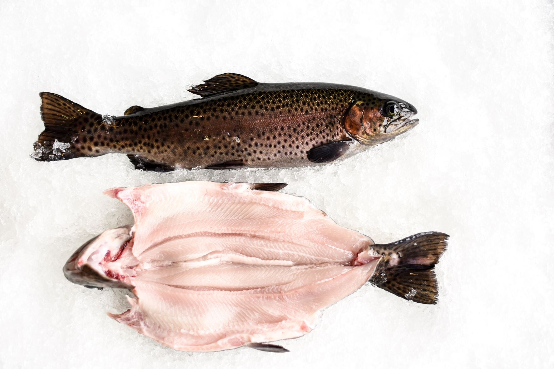 Rainbow Trout Butterflied – Great Falls Aquaculture